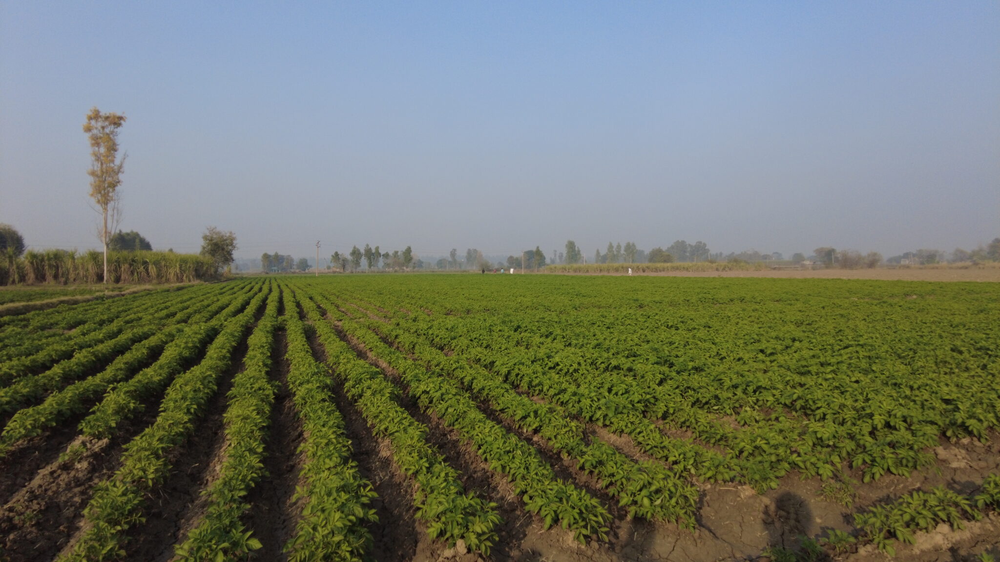 Manufacturing Facilities - Gharda Chem